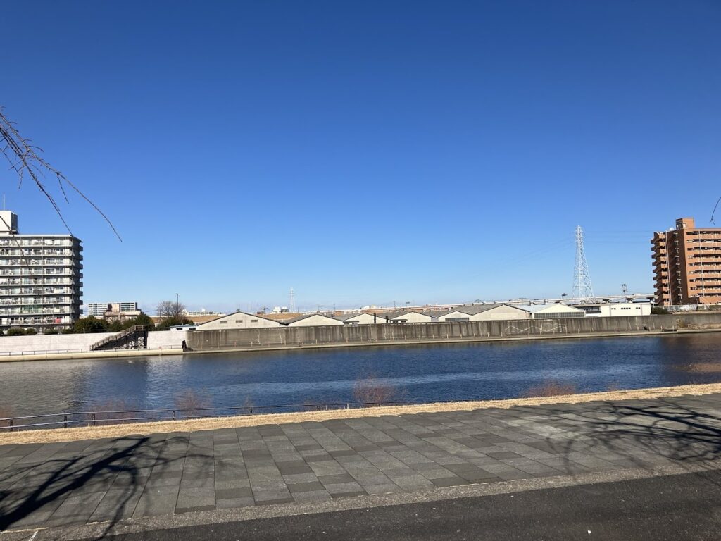 おせんべロゲイニング | 選手レポート