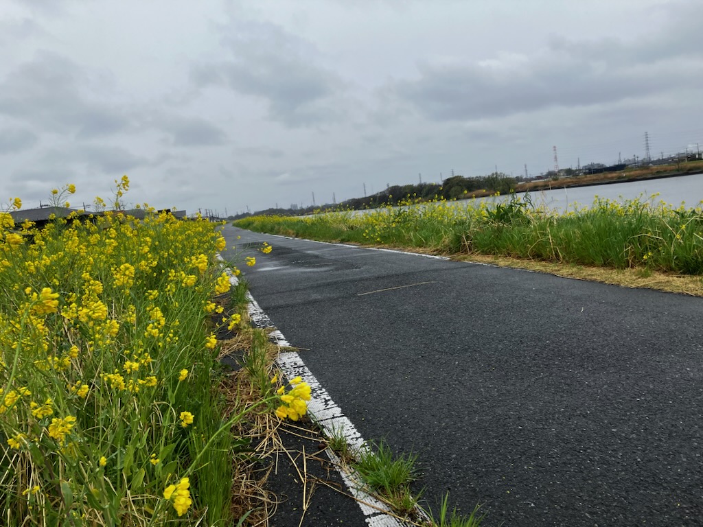 おせんべロゲイニング | 選手レポート